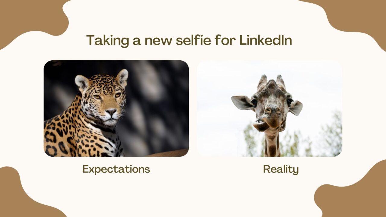 Mastering Your LinkedIn Profile Picture: Expectations vs Reality ...